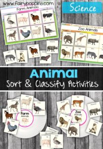 Animal Sort and Classify - Fairy Poppins