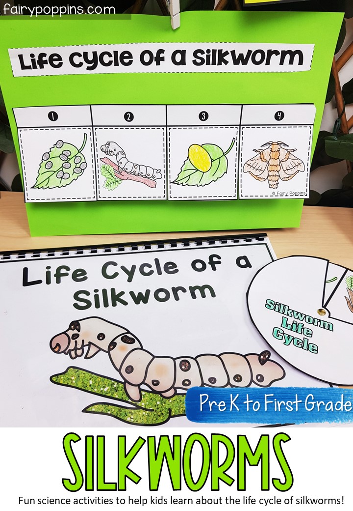 Silkworms - Life Cycle Activities - Fairy Poppins