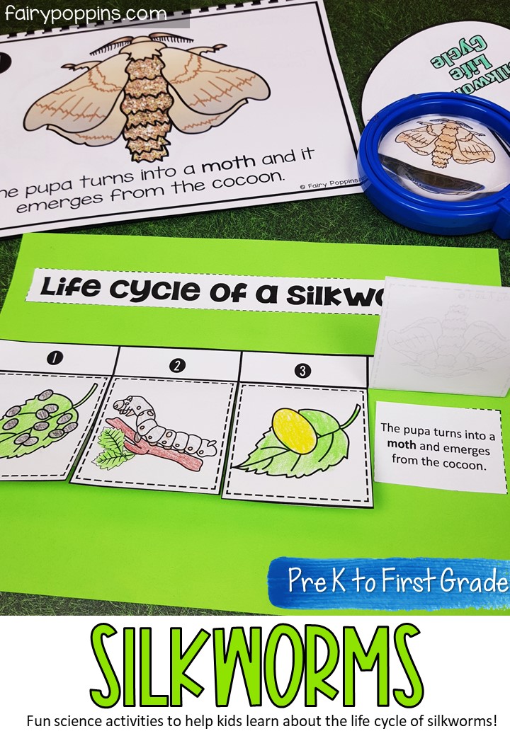 Silkworms - Life Cycle Activities - Fairy Poppins