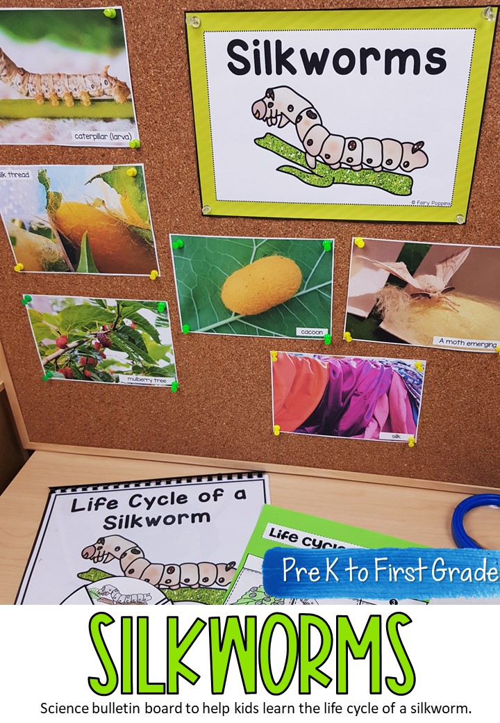 Silkworms - Life Cycle Activities - Fairy Poppins