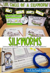 Silkworms - Life Cycle Activities - Fairy Poppins