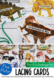 Fine Motor Lacing Cards - Fairy Poppins