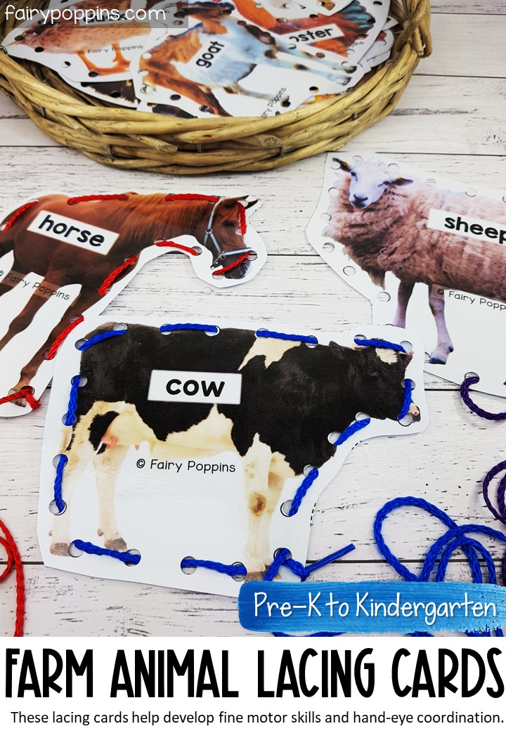 Fine Motor Lacing Cards - Fairy Poppins