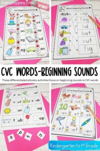 Differentiated CVC Words Activities - Fairy Poppins