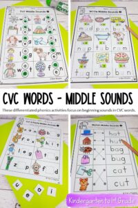 Differentiated CVC Words Activities - Fairy Poppins