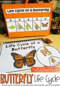 Butterfly Life Cycle Activities - Fairy Poppins