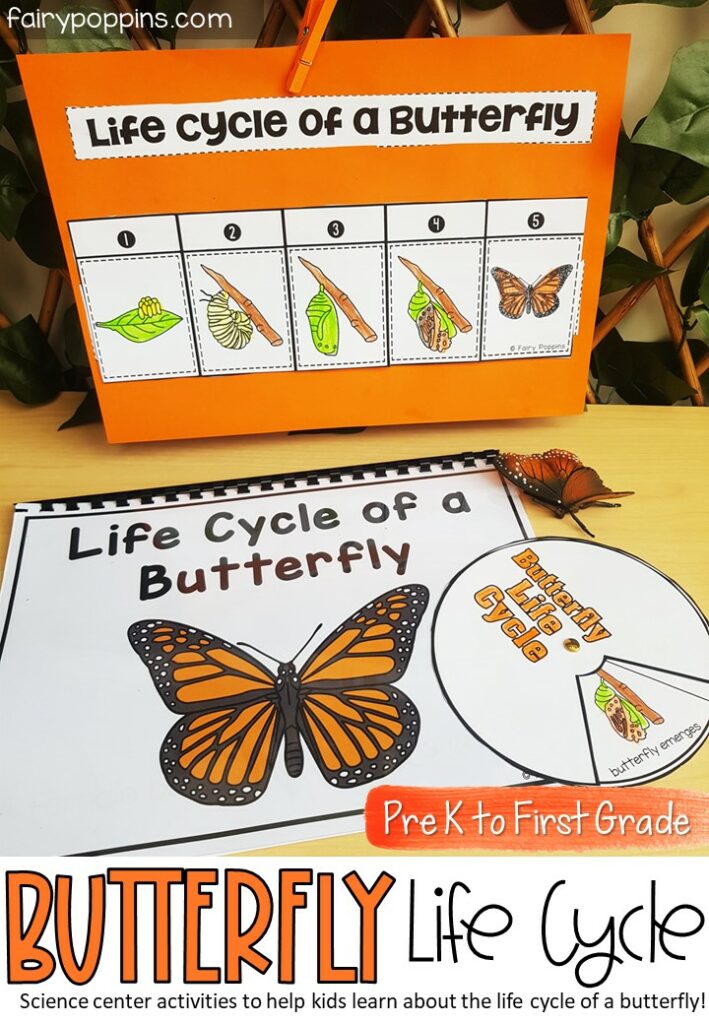 Butterfly Life Cycle Activities - Fairy Poppins