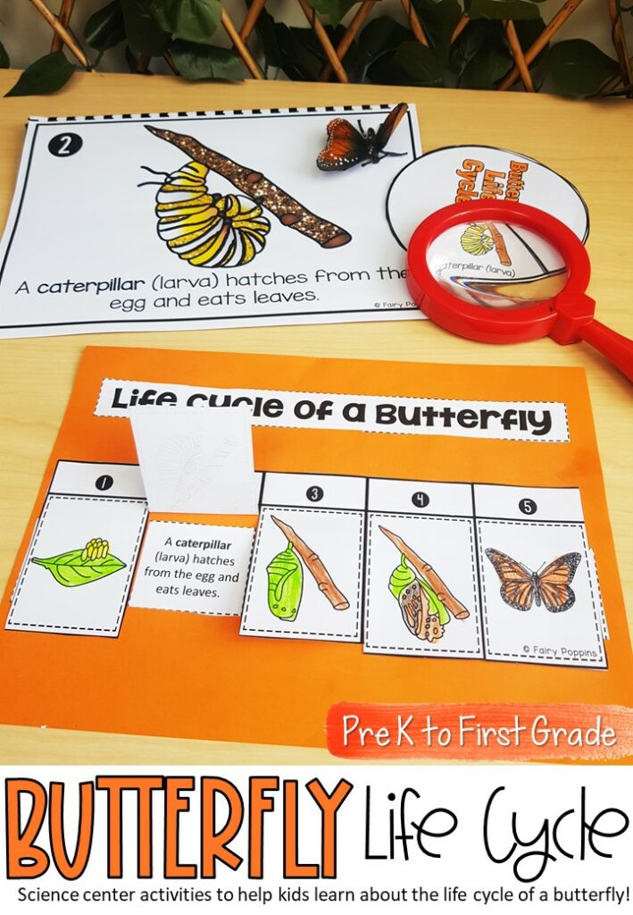 Butterfly Life Cycle Activities - Fairy Poppins