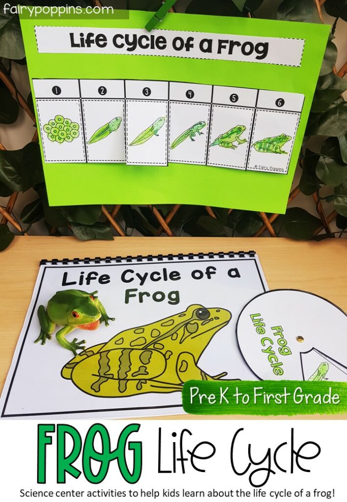 Frog Life Cycle Activities - Fairy Poppins