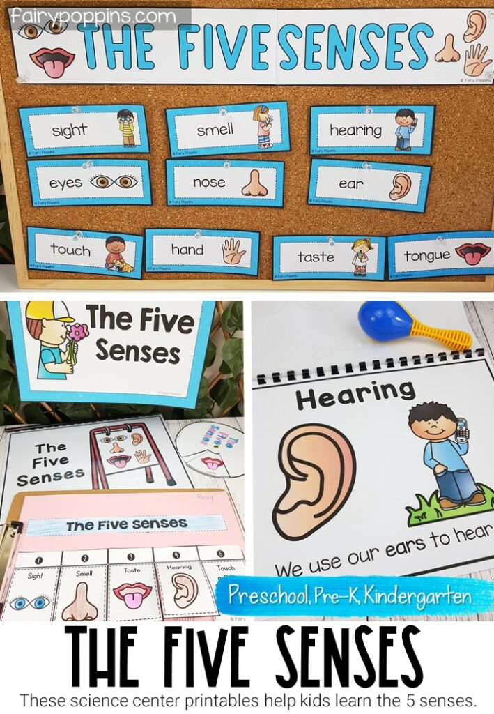 Five Senses Activities for Kids - Fairy Poppins