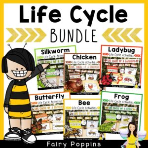 Bug Crafts and Insect Activities for Kids - Fairy Poppins