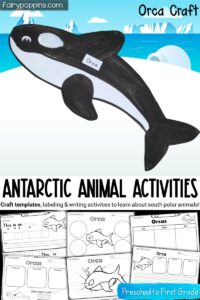 Antarctic Animal Crafts and Activities for Kids - Fairy Poppins