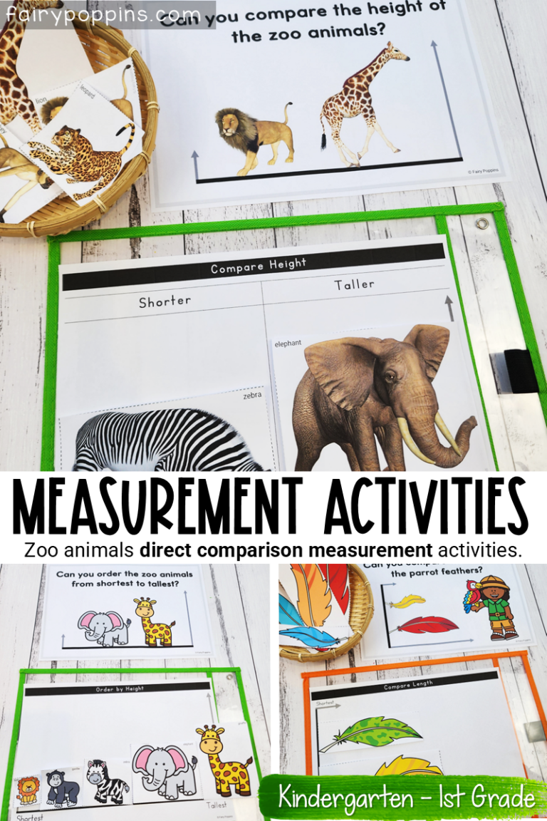 Engaging Zoo Animal Measurement Activities for Young Learners - Fairy ...